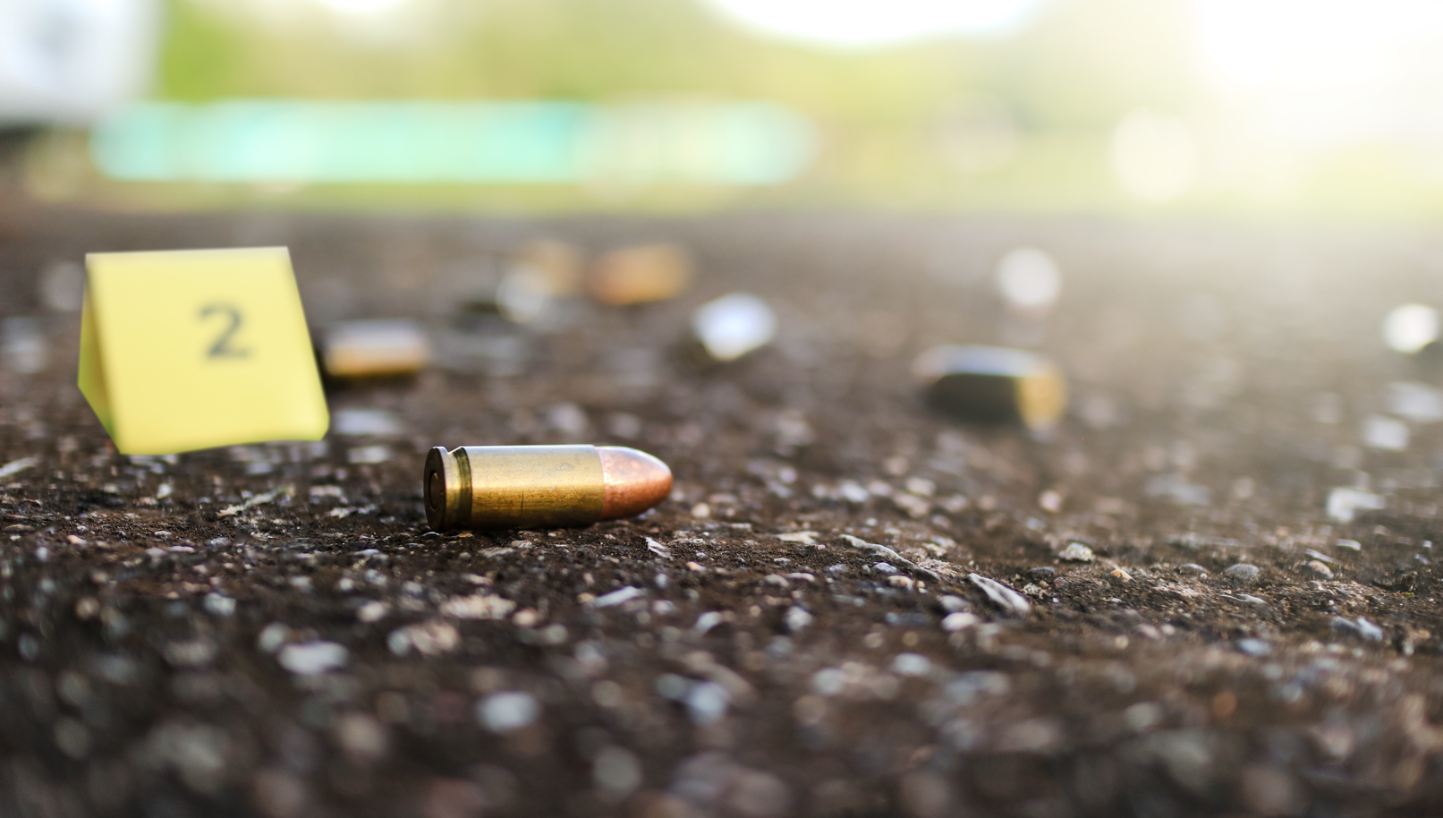 Suspected Shooters Nabbed in Thousand Oaks | Crime Voice