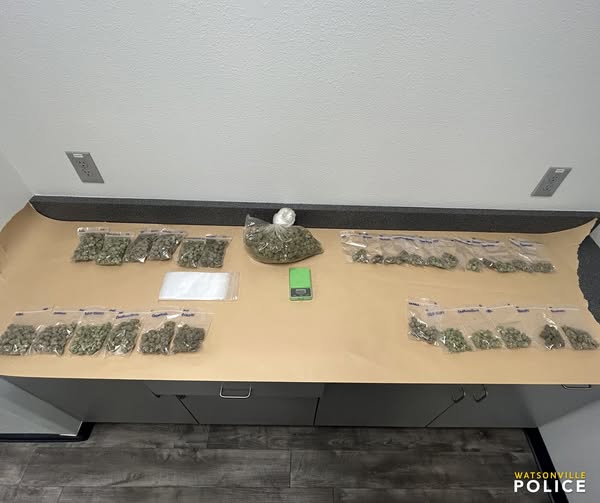 Two Apprehended & Drugs Seized Following Vehicle Pursuit, Crash, and ...
